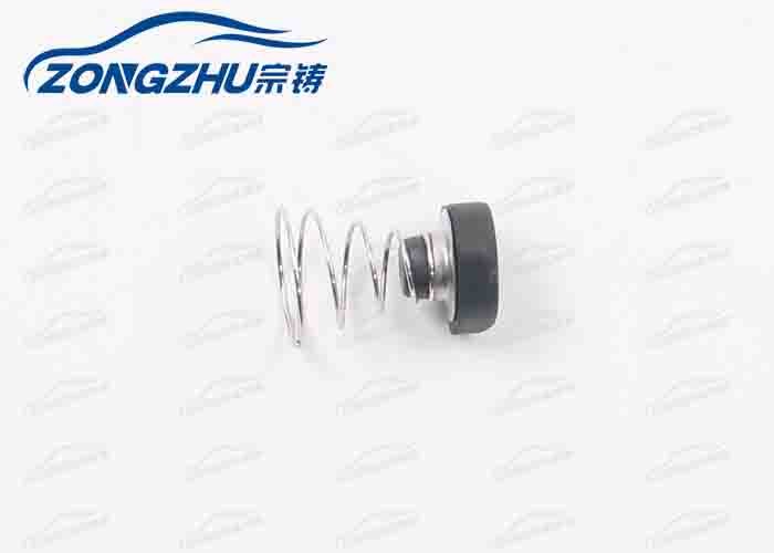 Steel Resistance Spring For Performance Air Bag Compressor WABCO